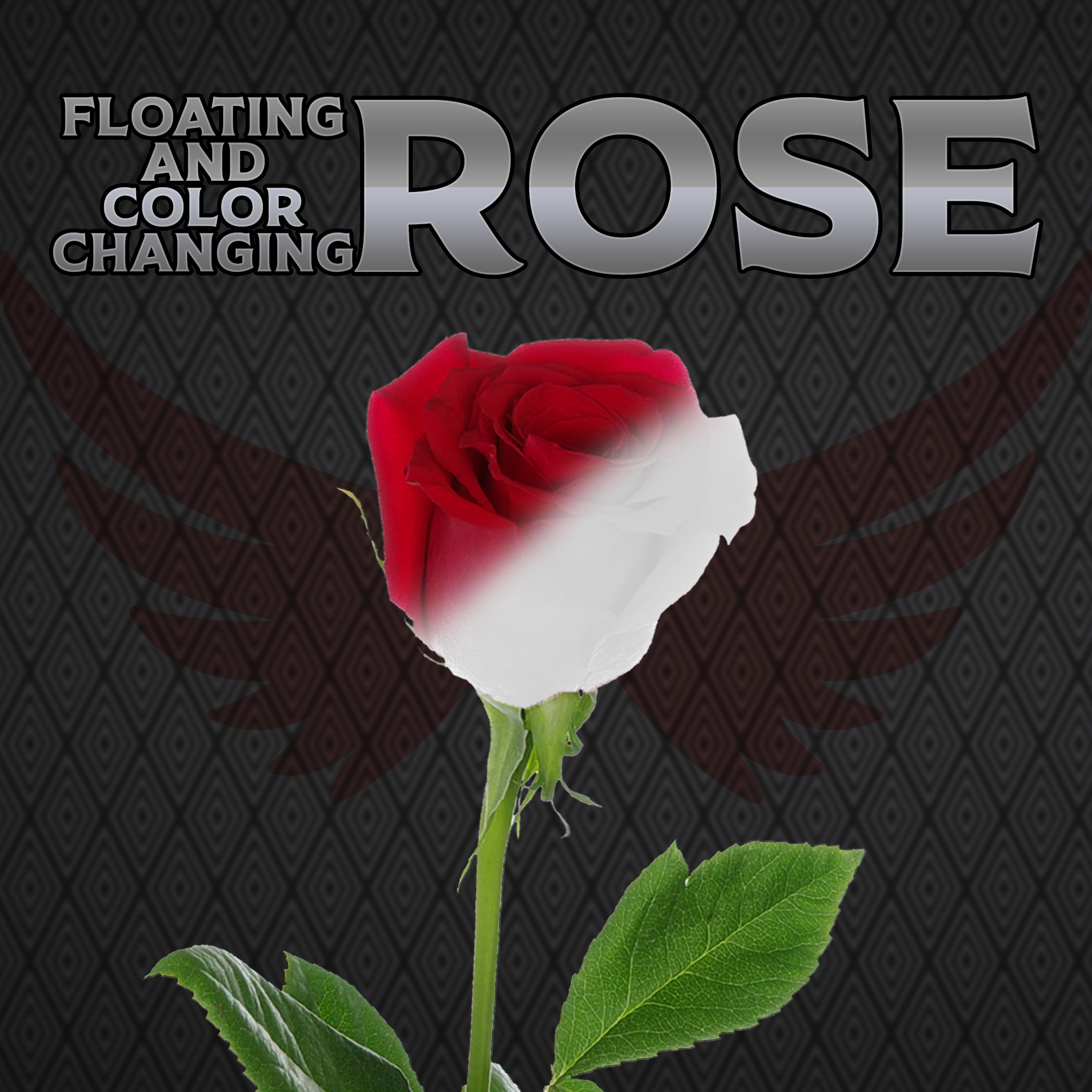 Floating Rose | Magic Factory